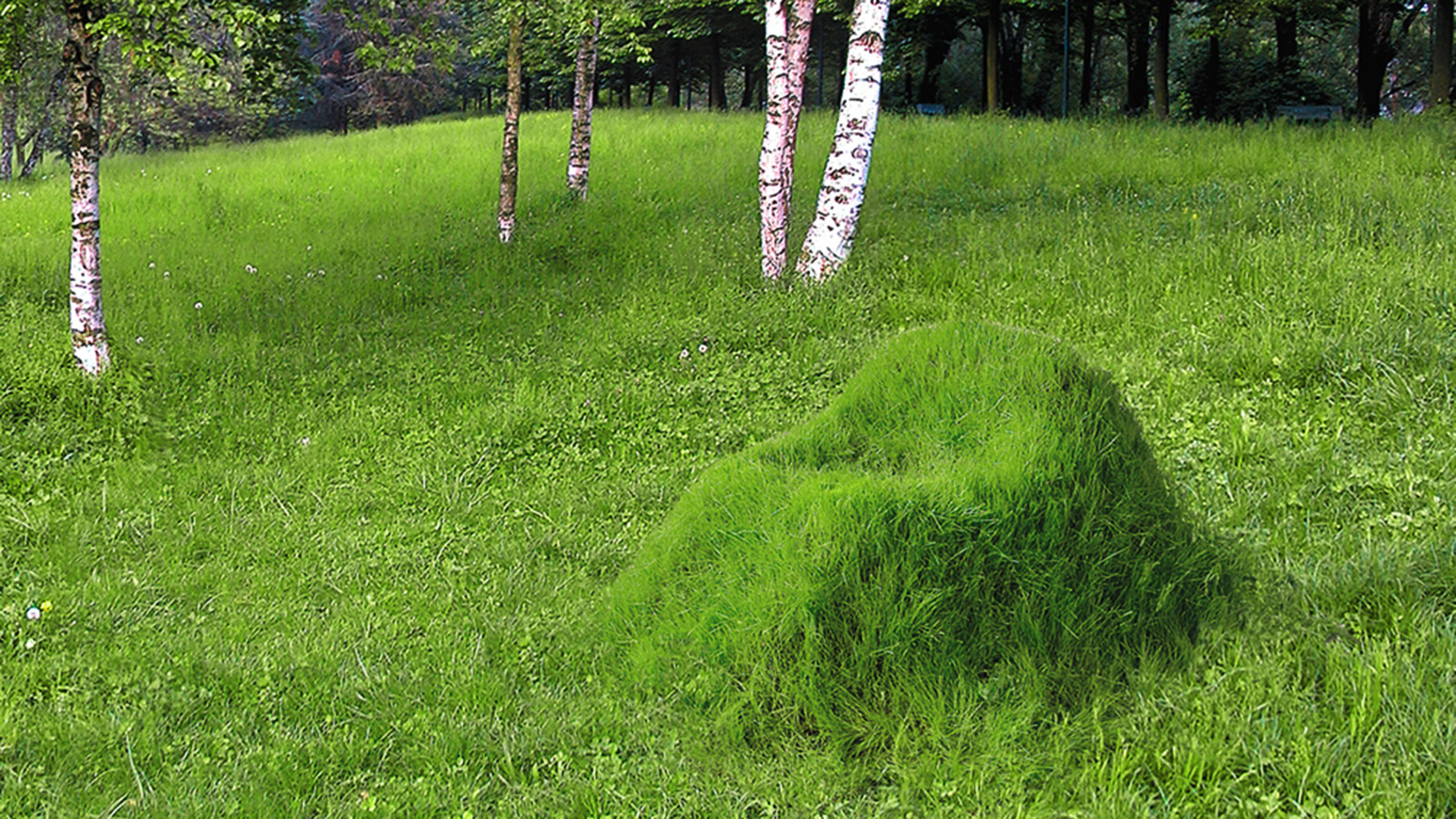 This Kit Lets You Grow A Grass Couch On Your Lawn - Fast Company
