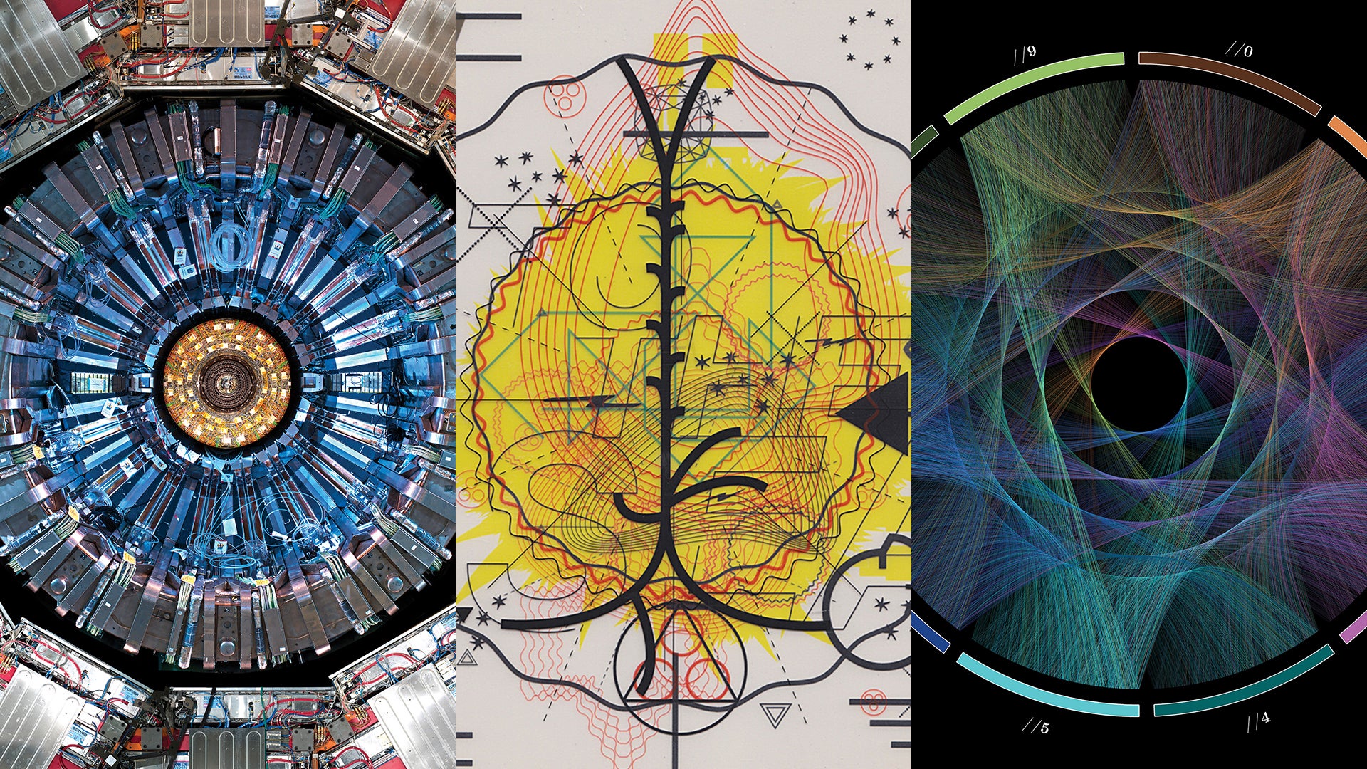 Why Humans Are Obsessed With Circles, According To Science - Fast Company