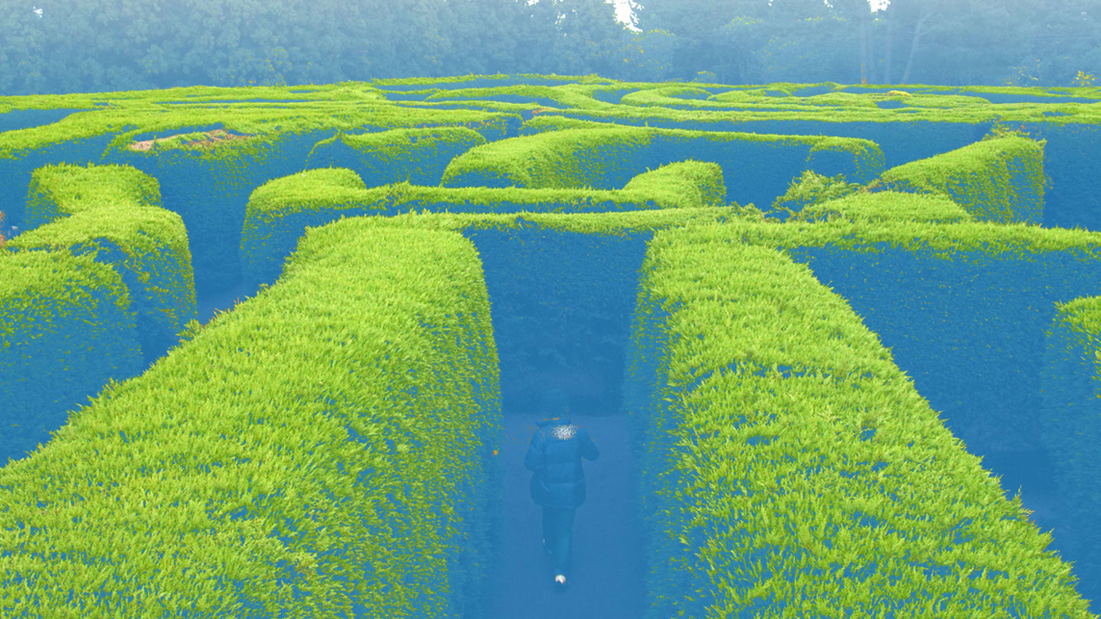 These are the reasons you can never make a decision - Fast Company