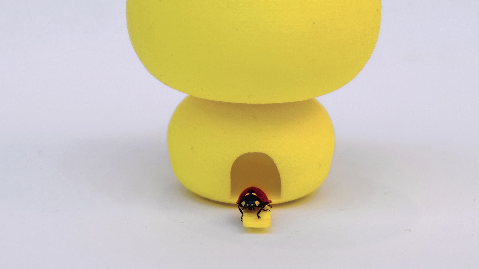 These tiny homes for ladybugs and spiders are designed to help them ...