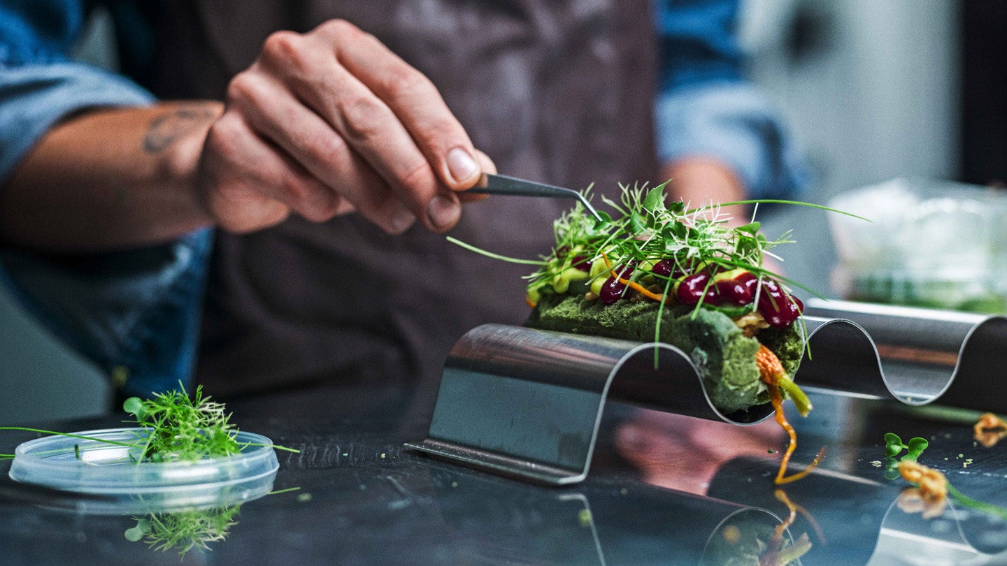 This cookbook from the future teaches you to make bug burgers and algae ...