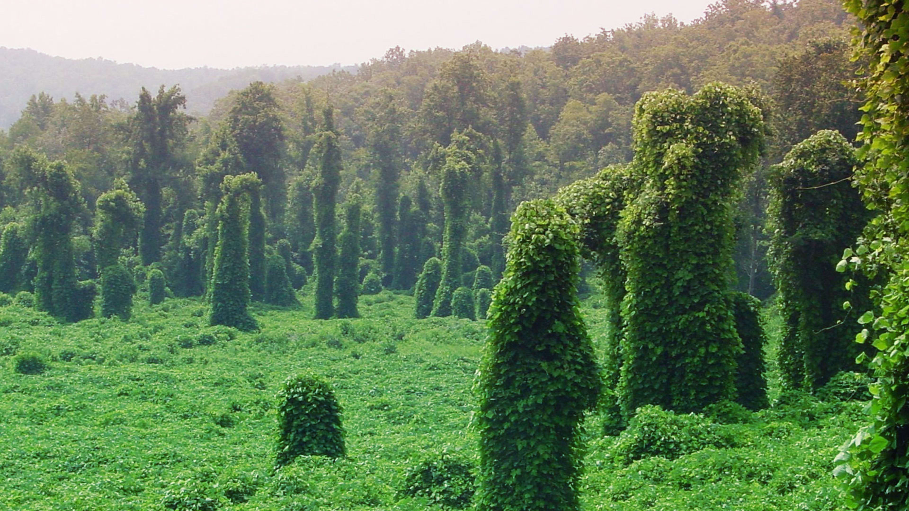 4 telltale signs you've outgrown your job, and what to do about it ...