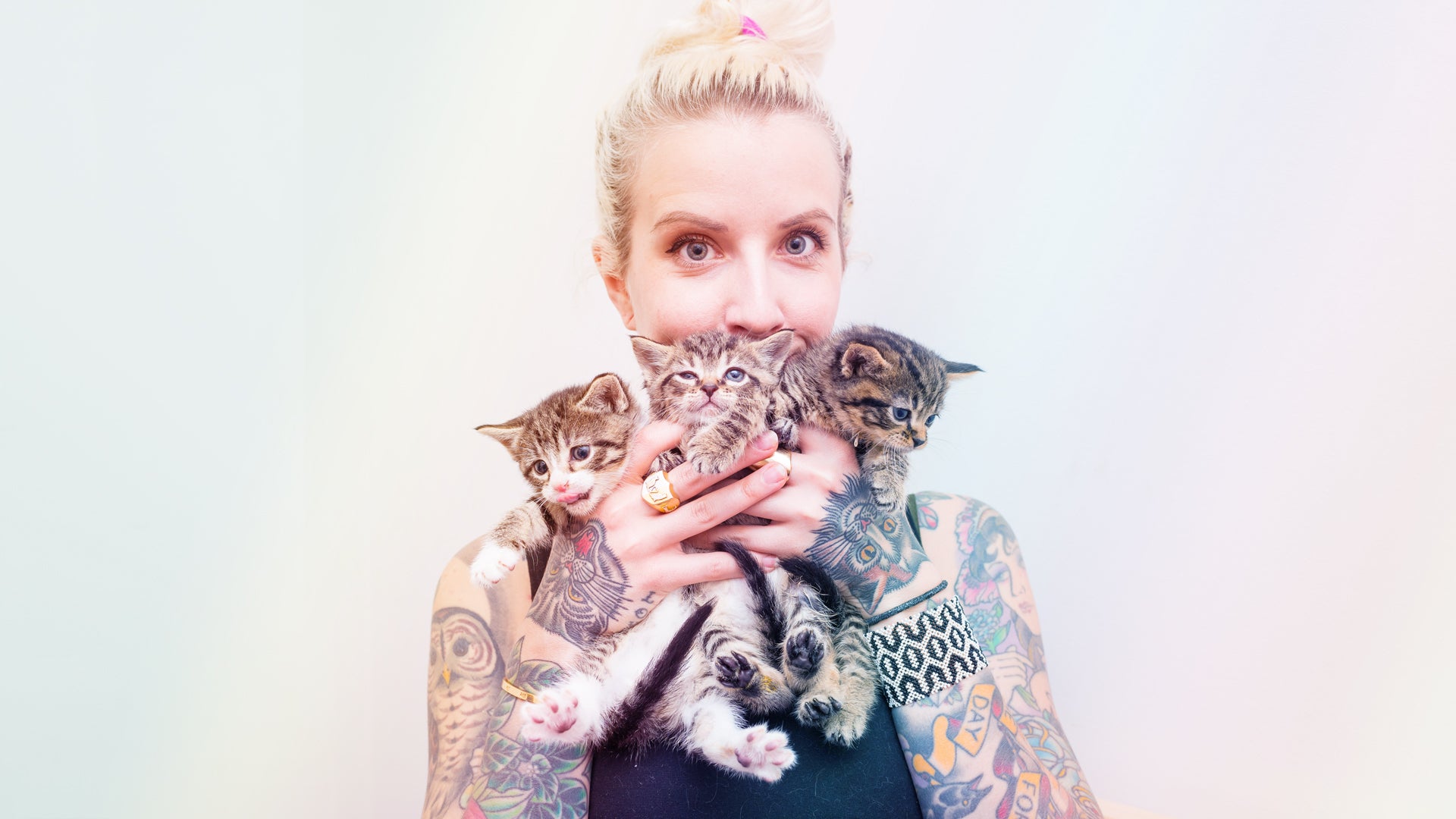 'Kitten Lady' Hannah Shaw's creative approach to making you care about ...