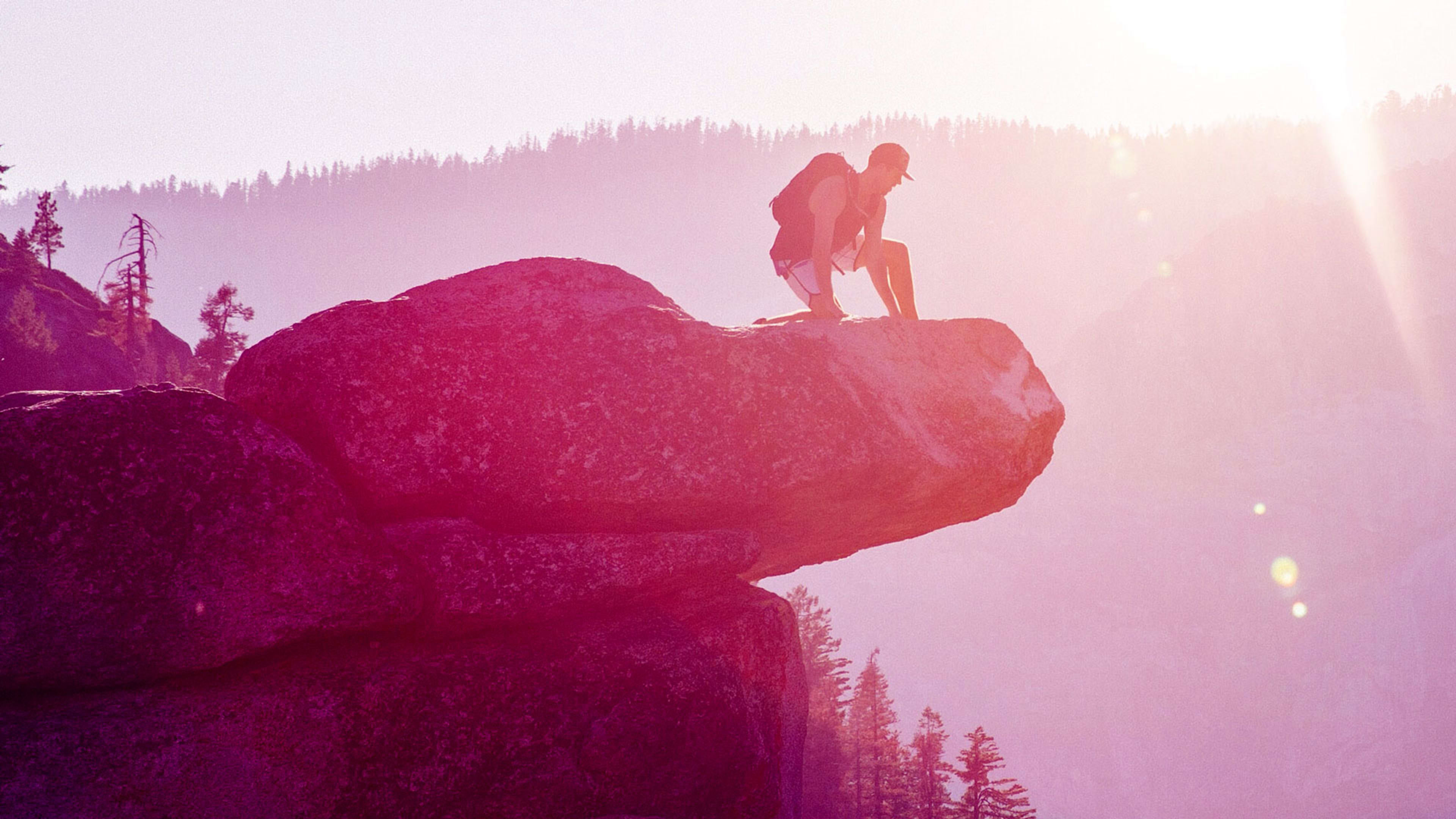 You've hit a plateau in your business or career. Now what? - Fast Company