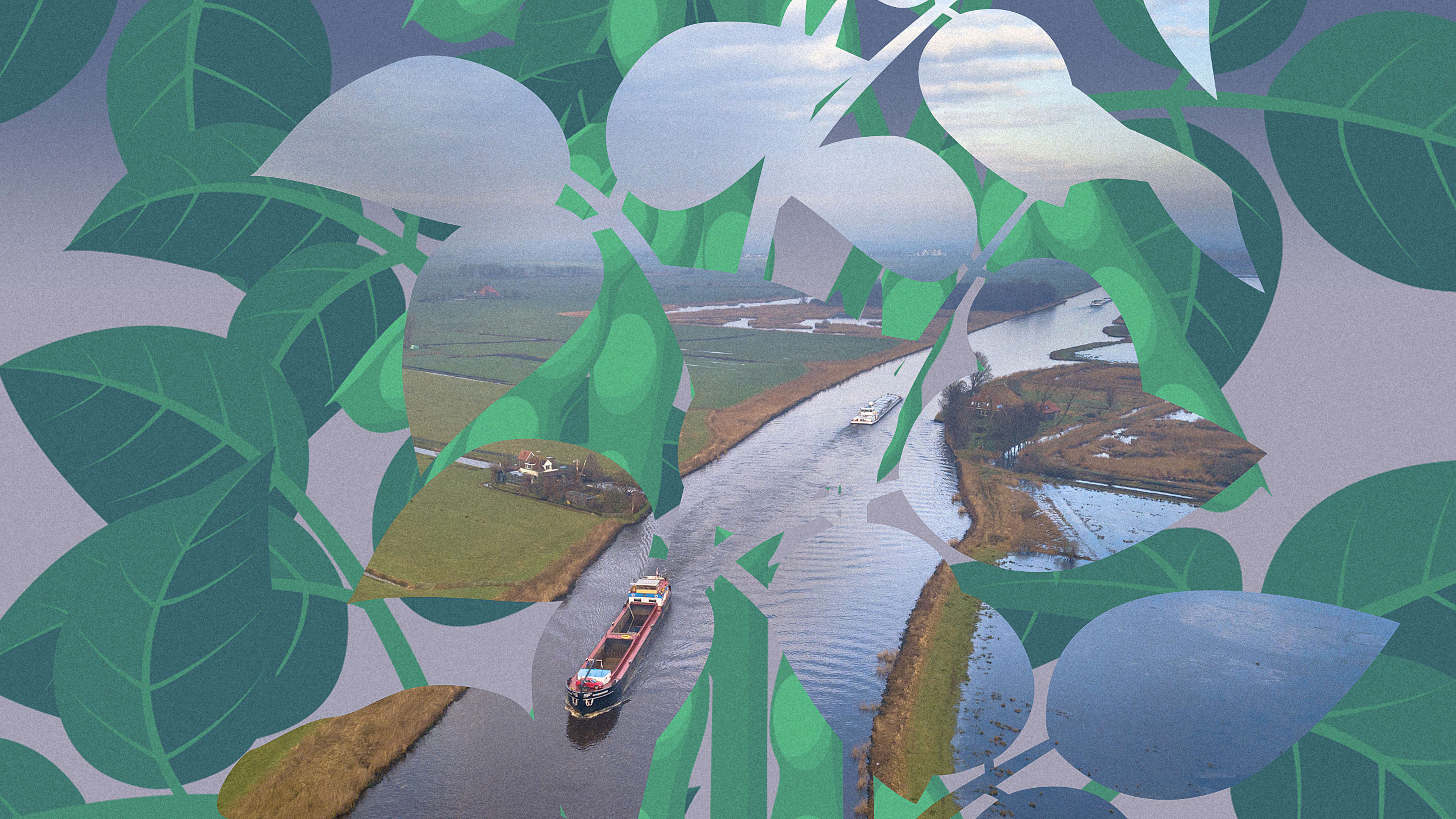 How the Netherlands became a plant-based protein powerhouse - Fast Company