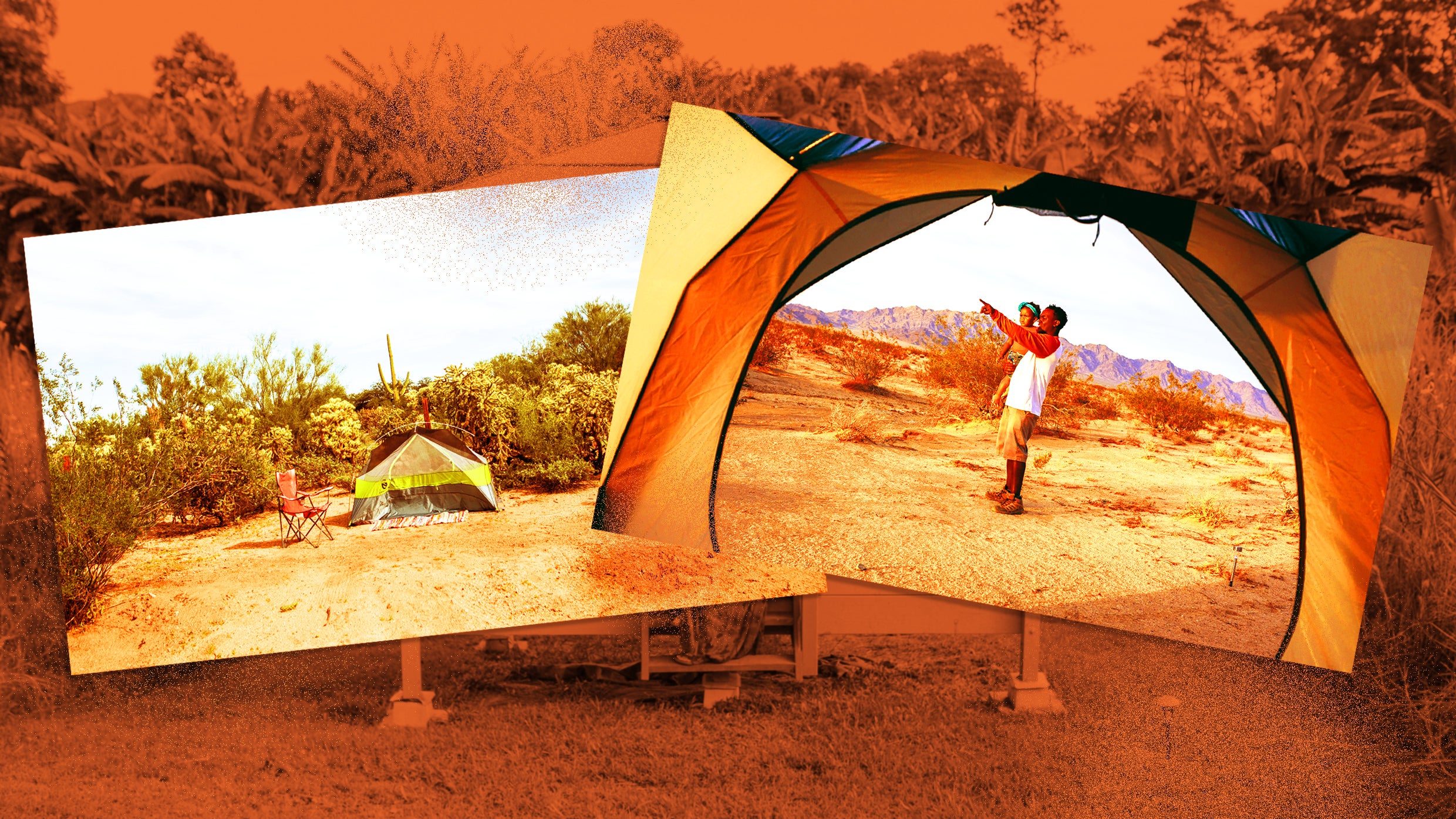 Why Hipcamp is the most innovative travel company of 2021 - Fast Company