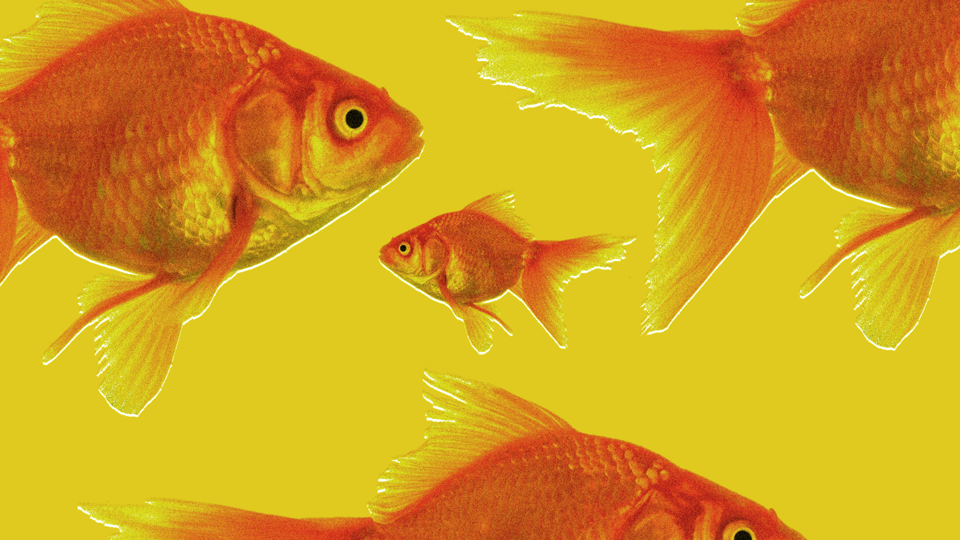 How to spot the warning signs of an insecure leader (and how to work ...