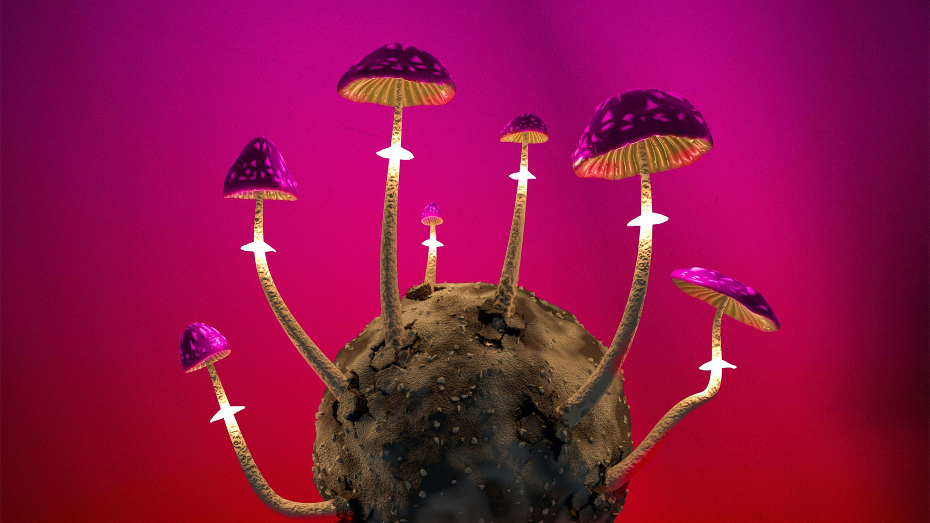 What leaders can learn from the psychedelic movement