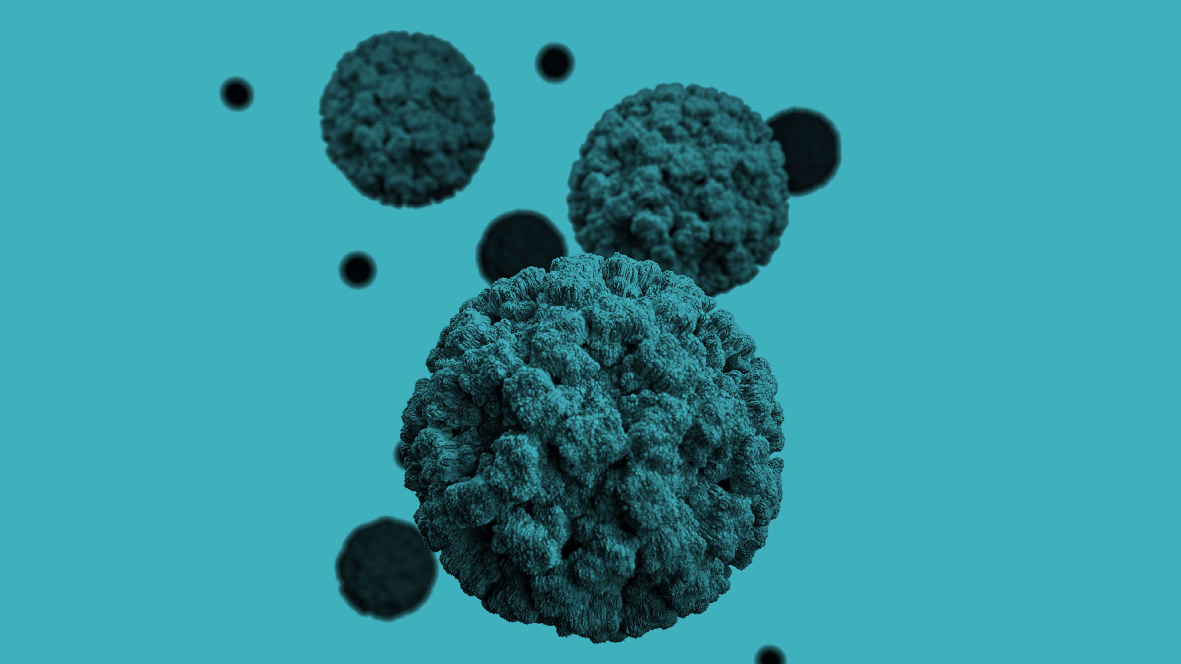 Norovirus 2024 update: CDC data tracker shows Northeast cases rising