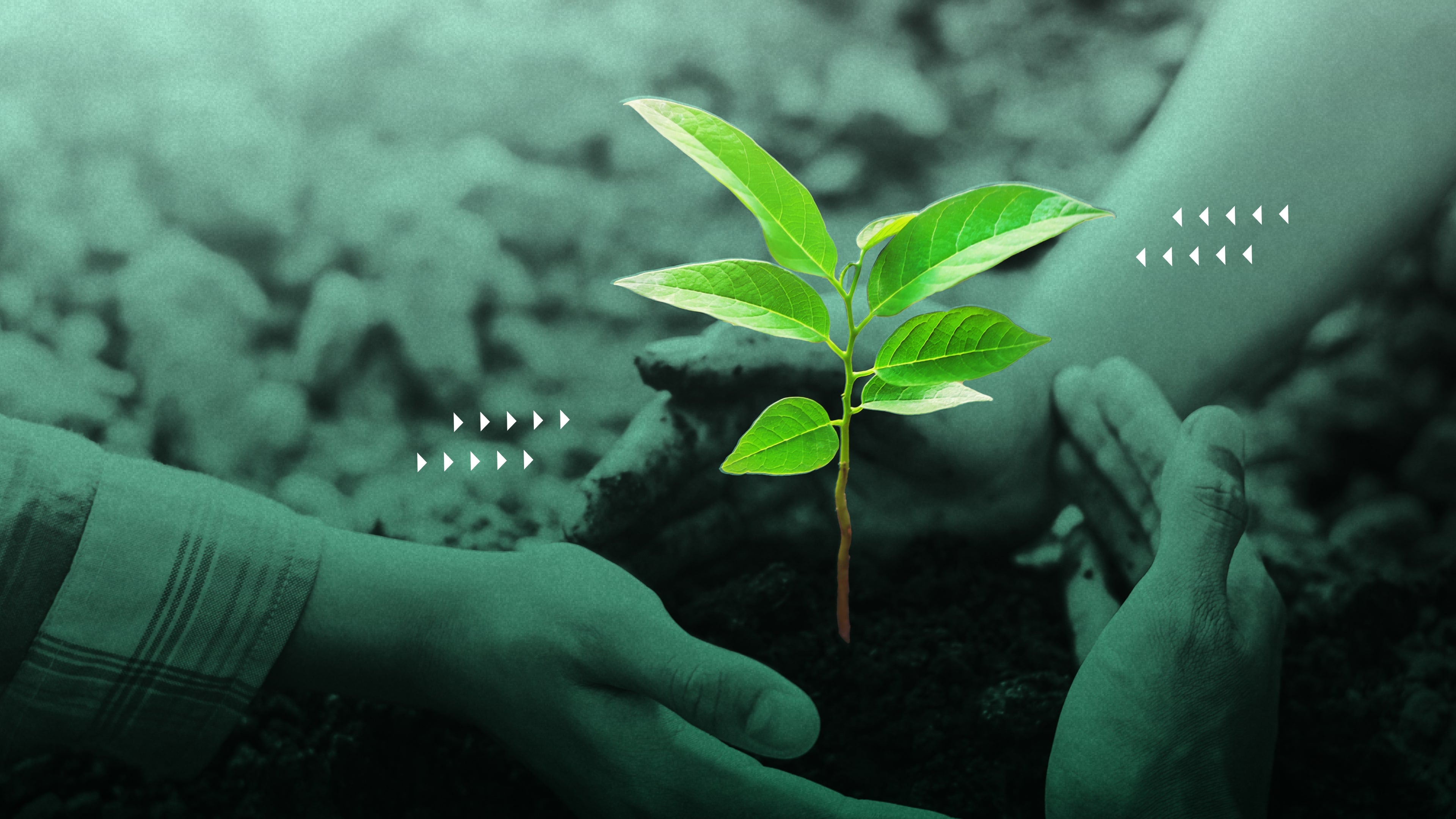 The ROI of giving back: Measuring the tangible benefits of corporate ...