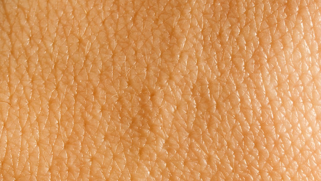 How MelaFind Uses Military Tech To Find Cancer - Fast Company