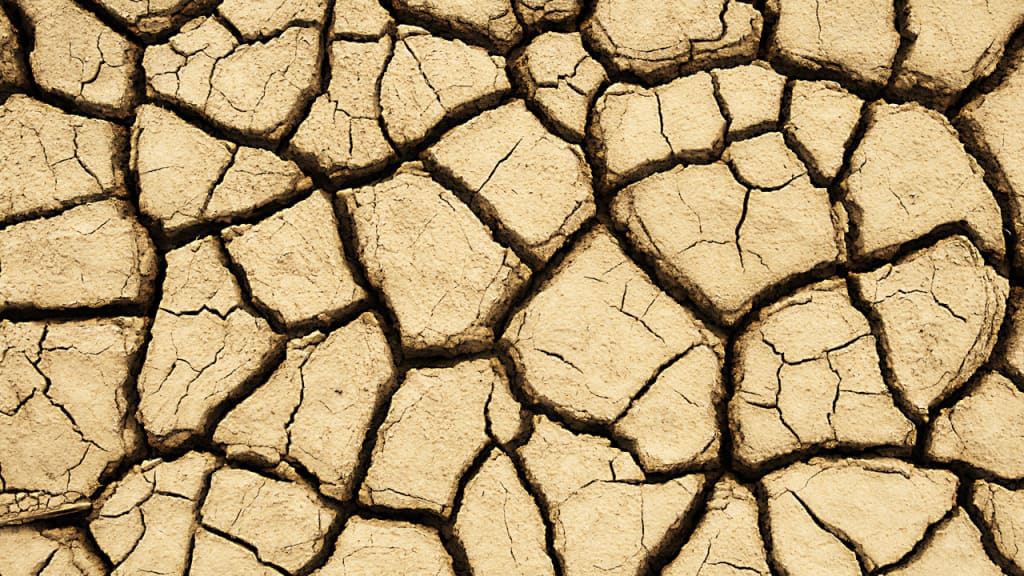 Growing Crops With No Water, The Old-Fashioned Way - Fast Company