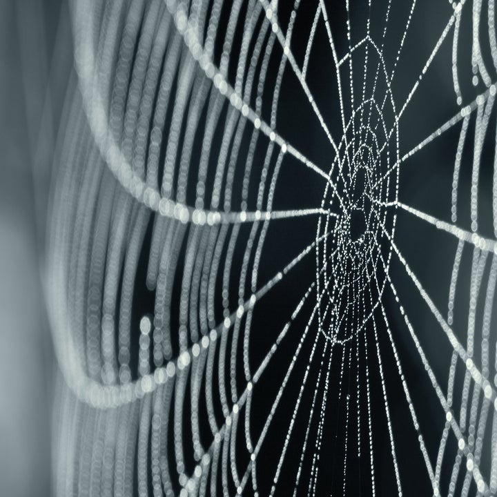 A Bandage That Doesn't Hurt To Remove, Inspired By Spiderwebs - Fast ...