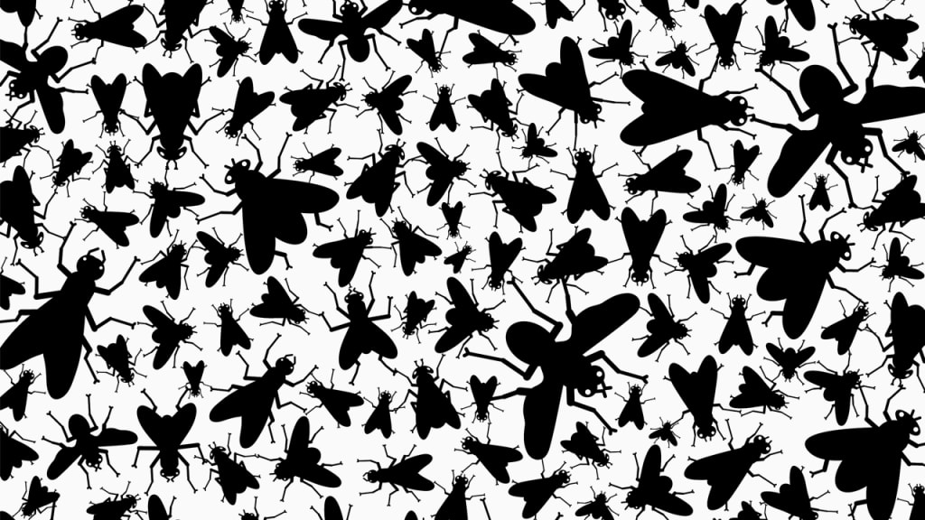 Are Genetically Modified Insects The Next Step For The GMO Industry ...