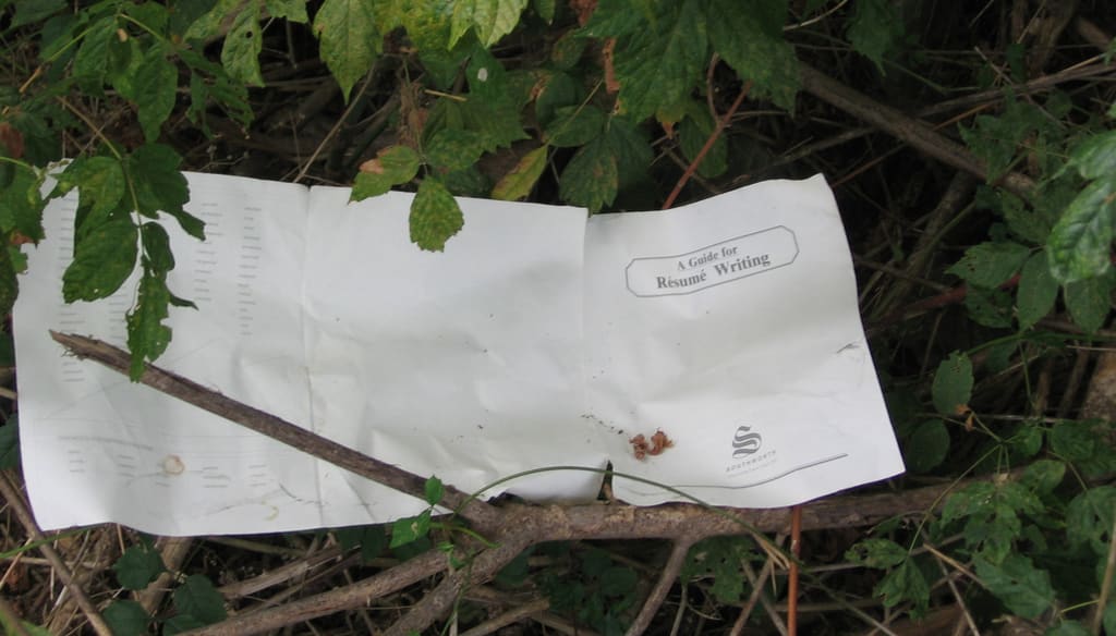 The Super Mario Of Resumes Unlocks A New High Score In Job Seeking ...