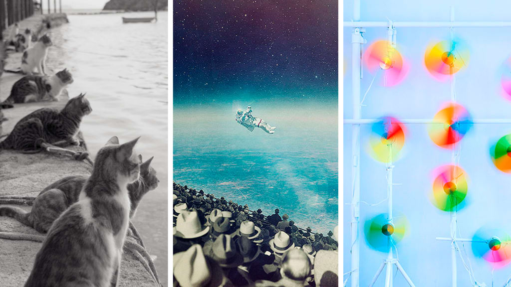 The Eye-Popping Images On Colossal Will Make Art Lovers Of Us All ...