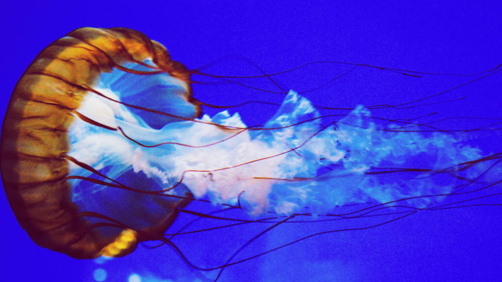Forget About Quadcopters And Behold The Flying Jellyfish - Fast Company