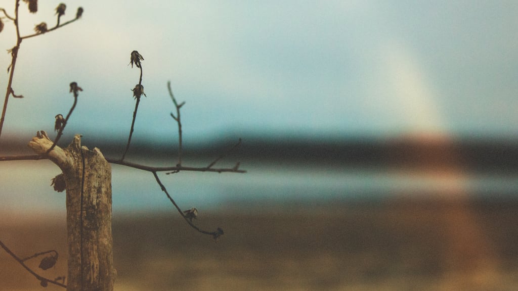 SOS, SMS! Is Texting Nearing Extinction? - Fast Company