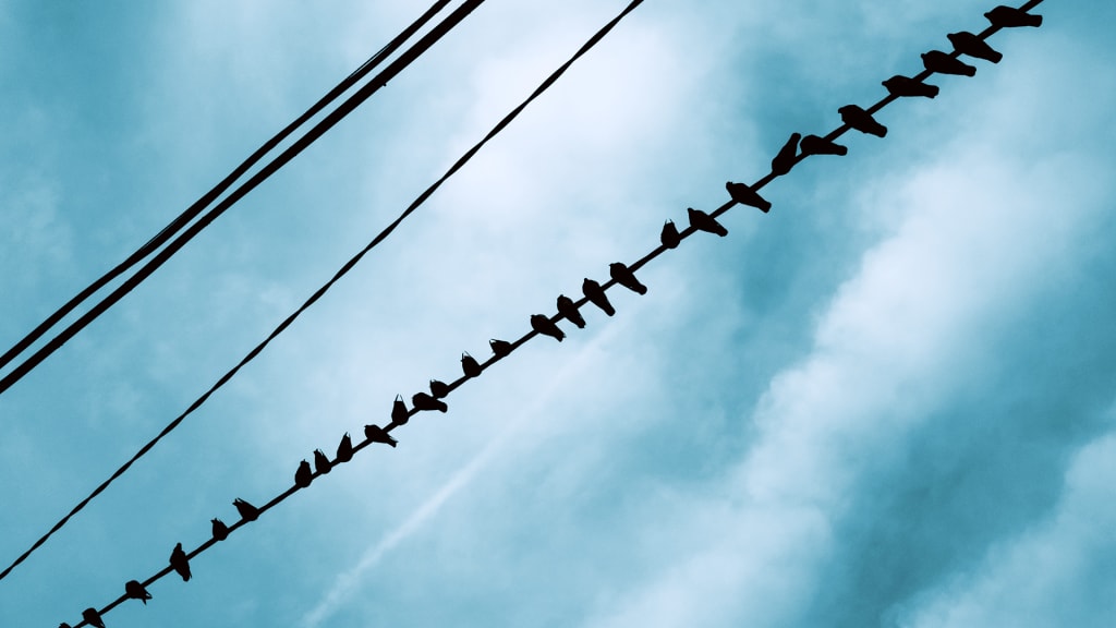 Could A Hashtag Bring Digital Justice To Sudan? - Fast Company