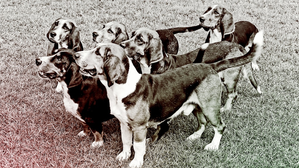 What You Need To Know To Create An Accountability Group That Works ...