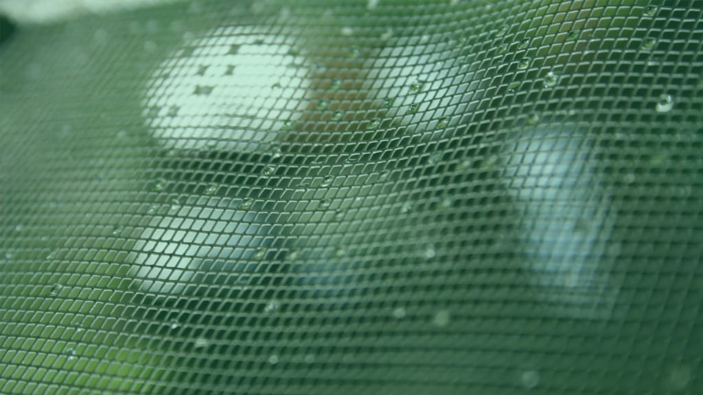 Let's Build A New Mesh Network To Replace The Internet - Fast Company