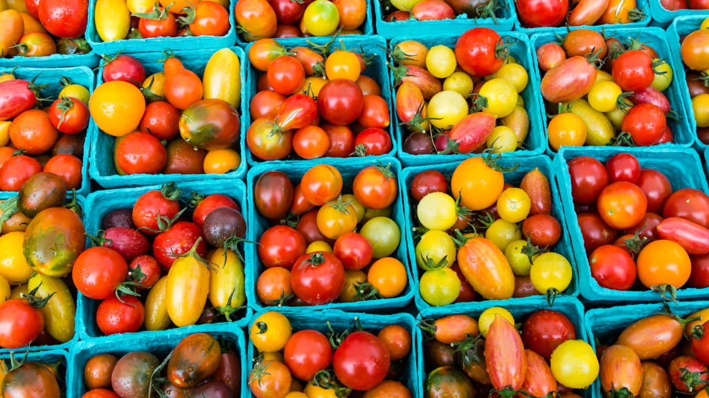 On The 20th Anniversary Of The First GMO, What Do We Know About What We ...