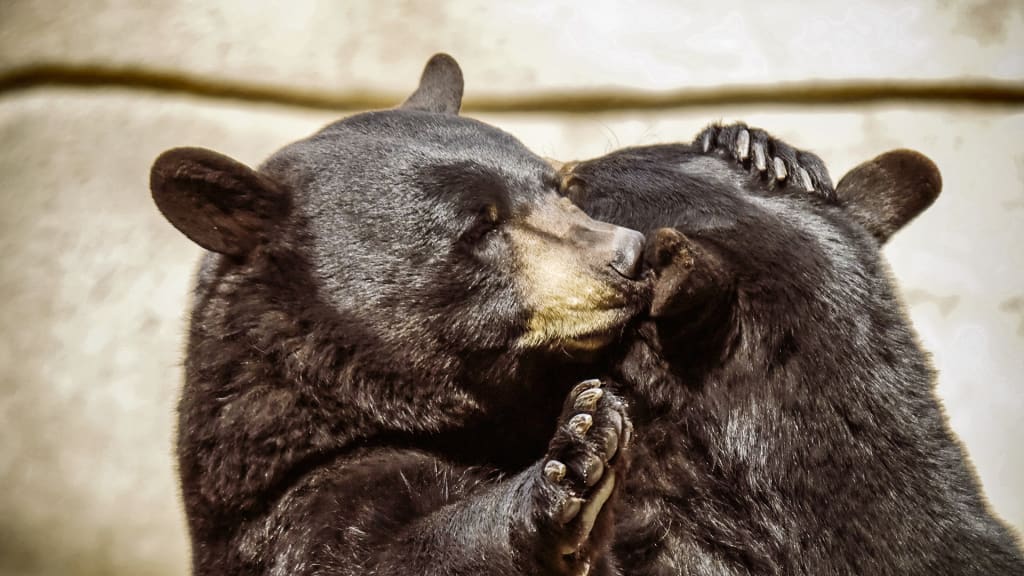 The Case For Hugging Your Coworkers - Fast Company