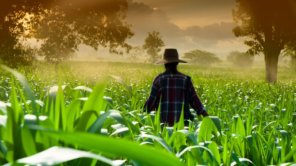 10 Jobs That May Soon Disappear - Fast Company