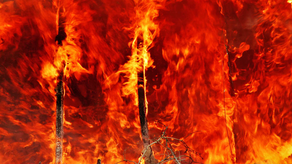 The New Digital Breed Of Fire Command - Fast Company