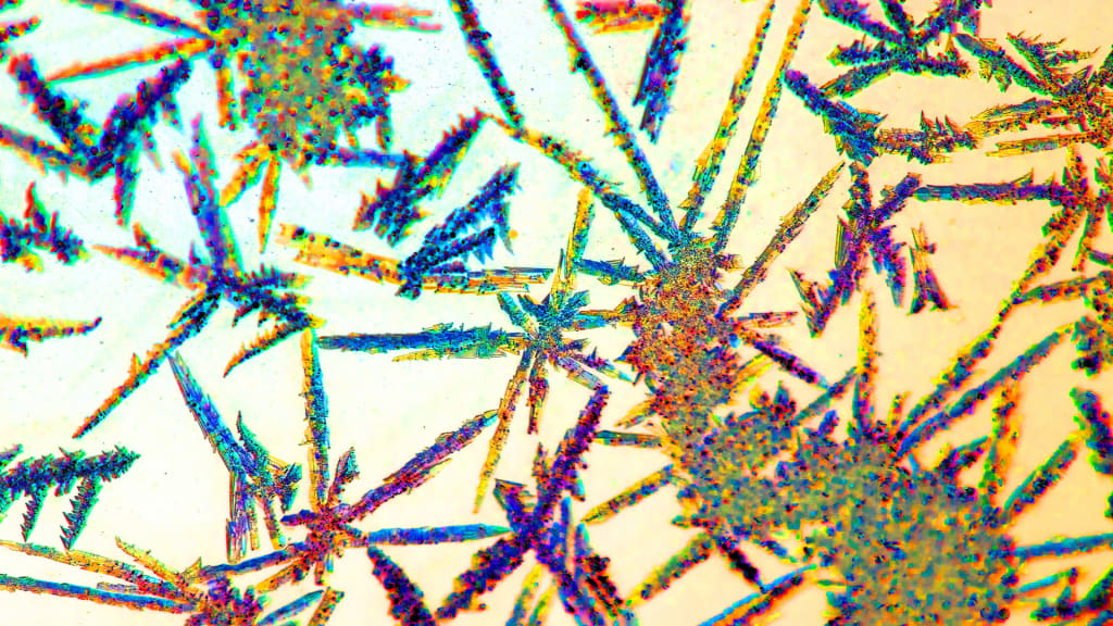 Your iPhone Camera Can Work As A Microscope - Fast Company