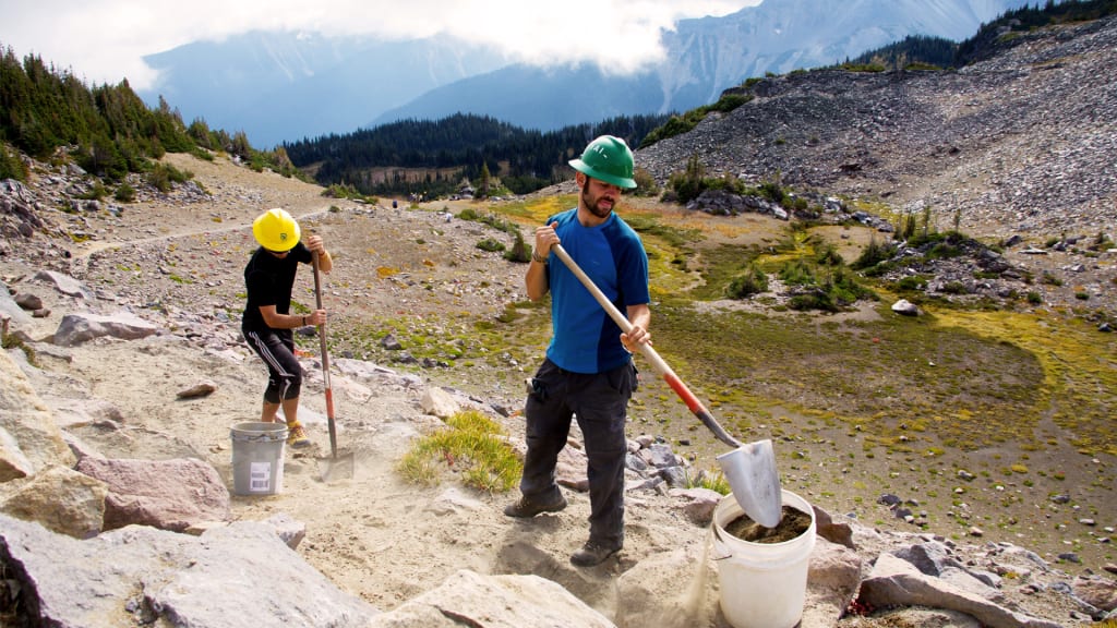 How To Implement Social Good In Your Organization - Fast Company