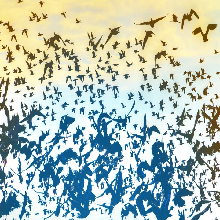Twitter's Transparency Report Reveals The World's Most Data-Hungry ...