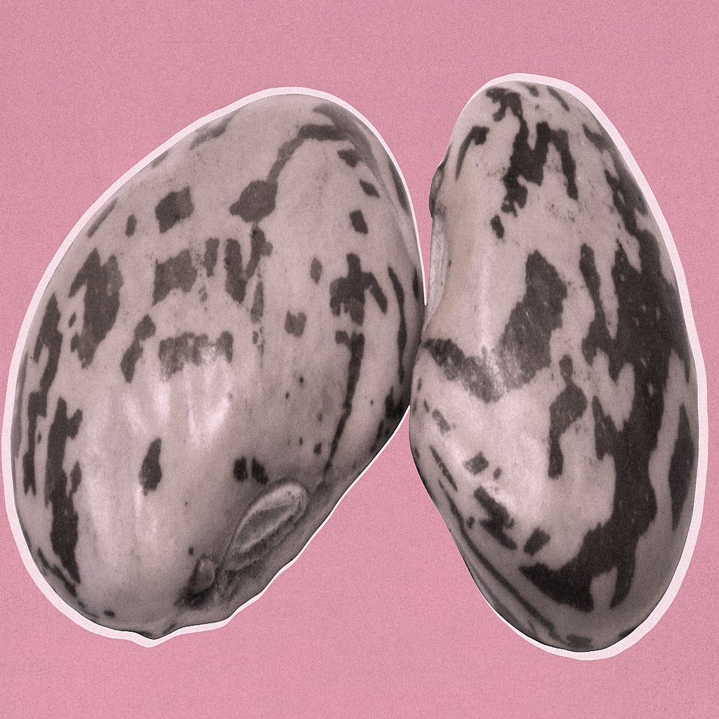 No GMOs Needed: Scientists Breed 30 Superbeans That Can Handle A Hotter ...