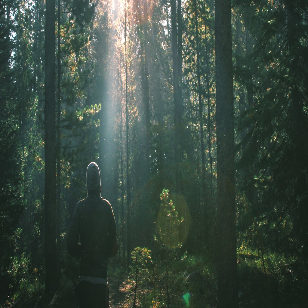 How Much Nature Should The Doctor Order? - Fast Company