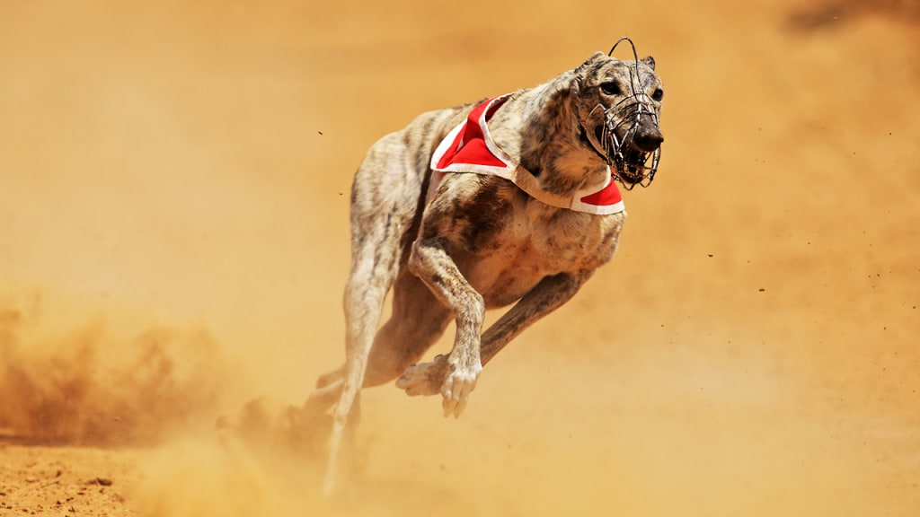 Faster Than A Speeding Bullet, You Will Learn The Actual Speed Of ...