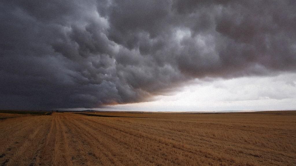 5 Things You Can Do Right Now To Help Prevent Catastrophic Climate ...