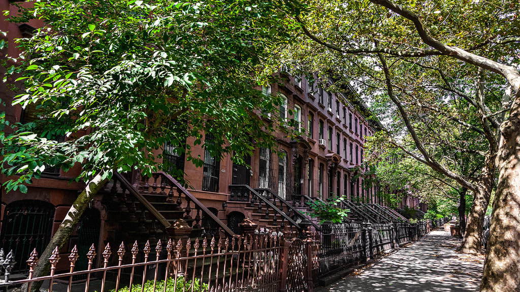 NASA Explains Why You Should Live On A Tree-Lined Street-And A Tree ...