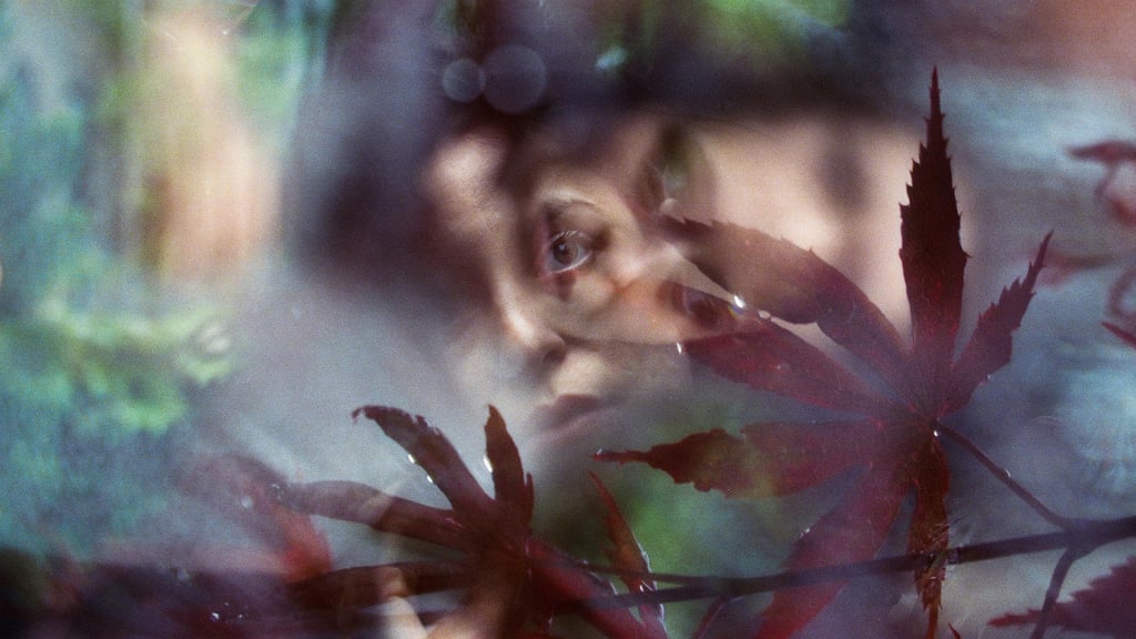 Why Photographers Are Flocking To This 19th-Century Technology - Fast ...