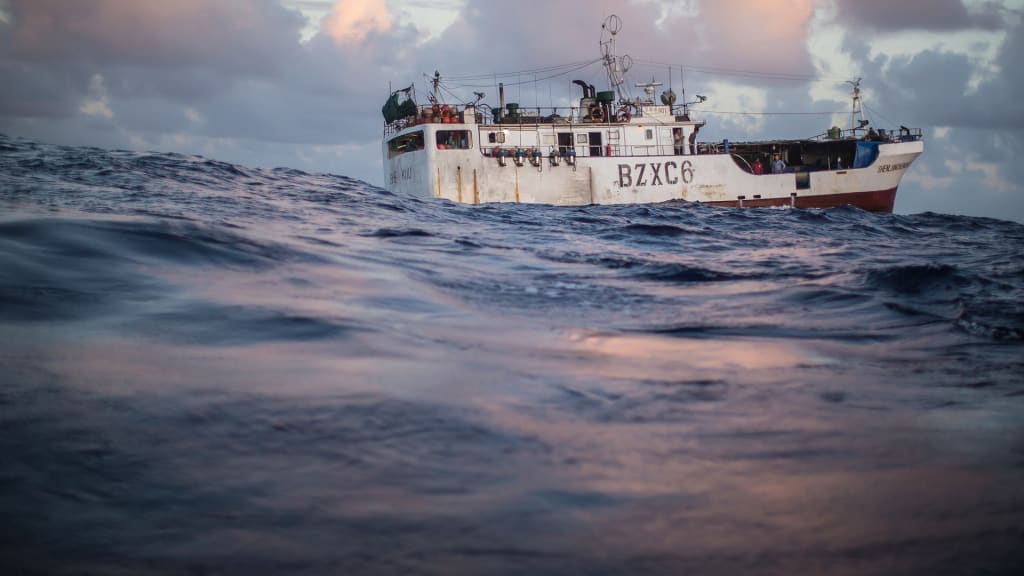 How AI Can Help Keep Ocean Fisheries Sustainable - Fast Company