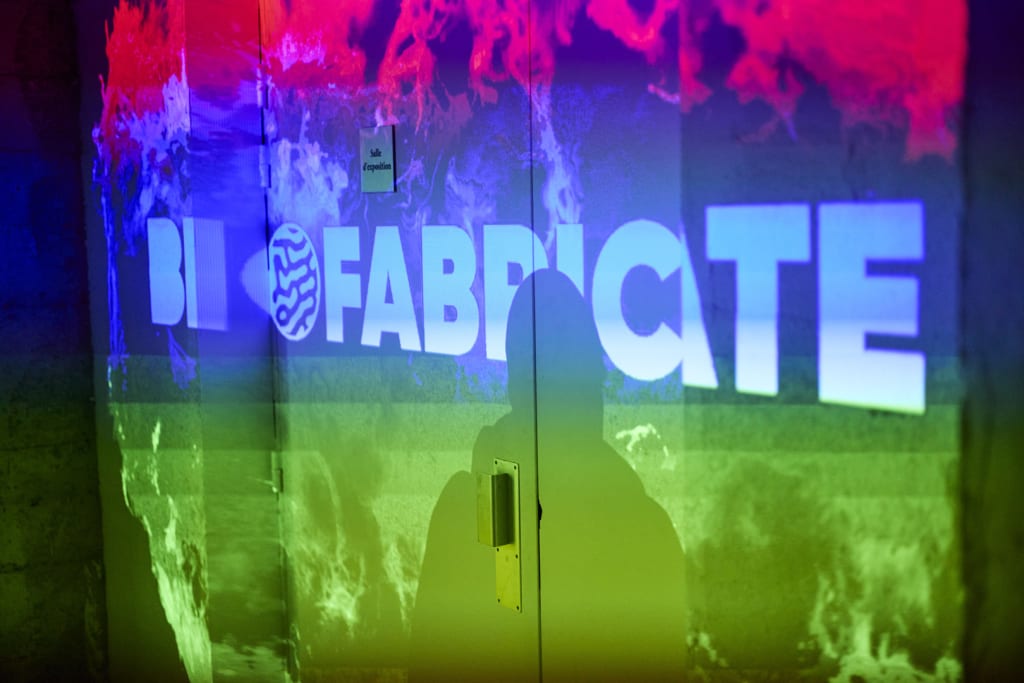 From 'shrimp leather' to synthetic dye, can biomaterials finally scale ...