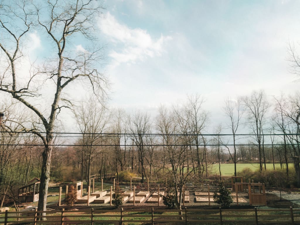 Why an ex-Googler just opened a chestnut farm in rural Pennsylvania ...