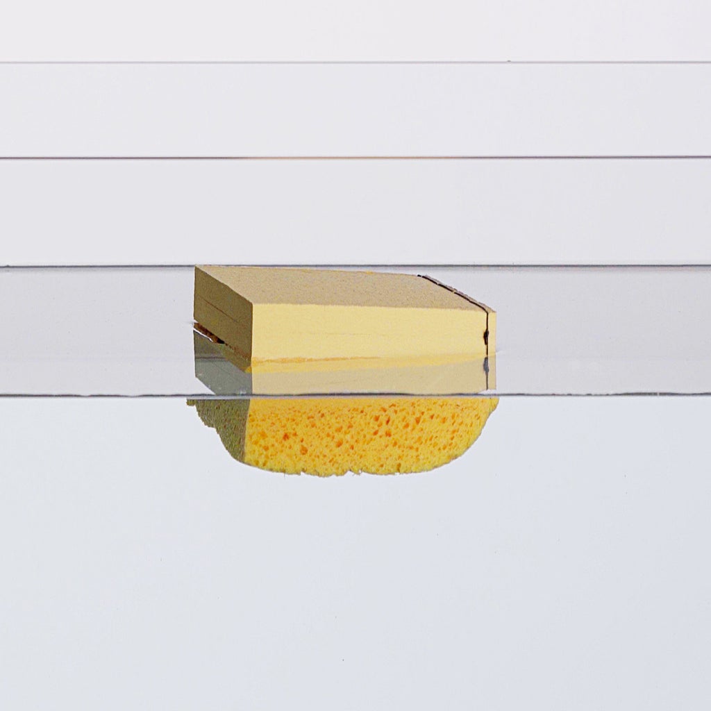 This magical sponge furniture grows when you dunk it in water - Fast ...