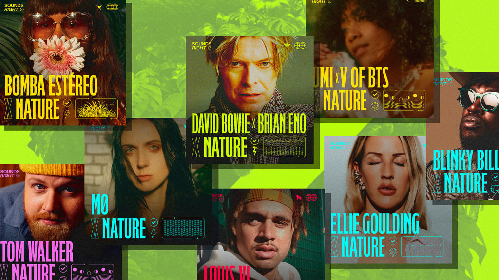Stream nature sounds on Spotify and help fund conservation - Fast Company