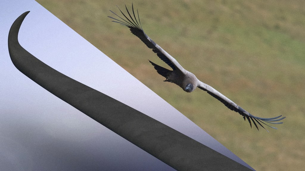 How a bird inspired a more powerful wind turbine - Fast Company