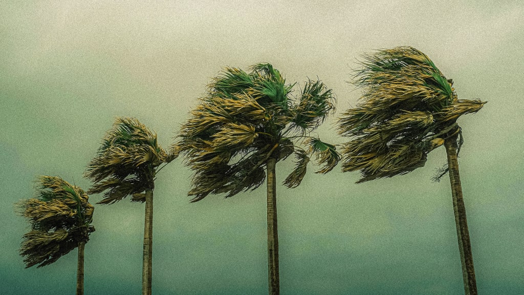 What does wind shear have to do with hurricanes? - Fast Company