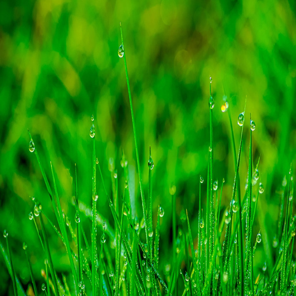 Utah is desperate to conserve water—so one county took a bold approach ...