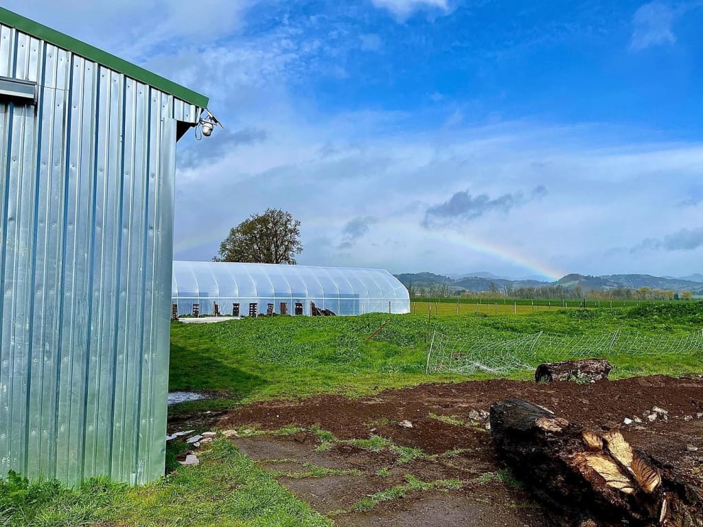 This startup pitched cricket protein bars on Shark Tank. Now, they're ...