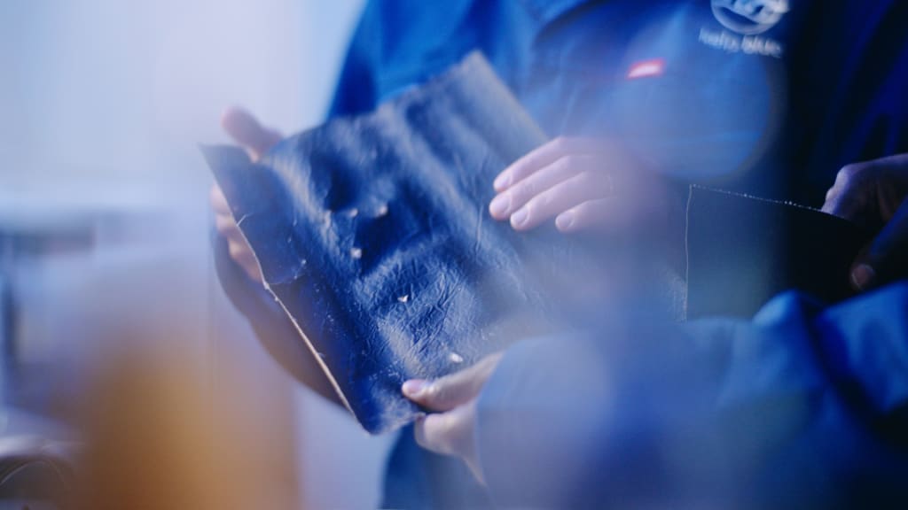 Why this former oil executive is growing giant kelp forests in Africa ...