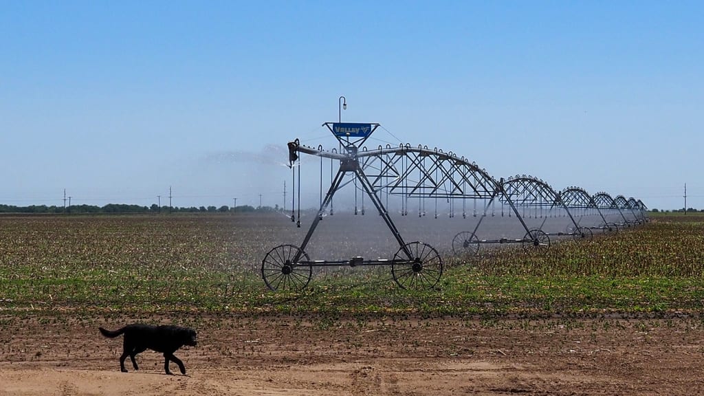 This Kansas district is running out of water—and its leaders won't do ...