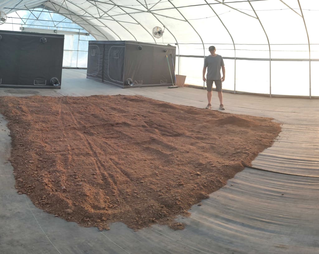 This startup pitched cricket protein bars on Shark Tank. Now, they're ...